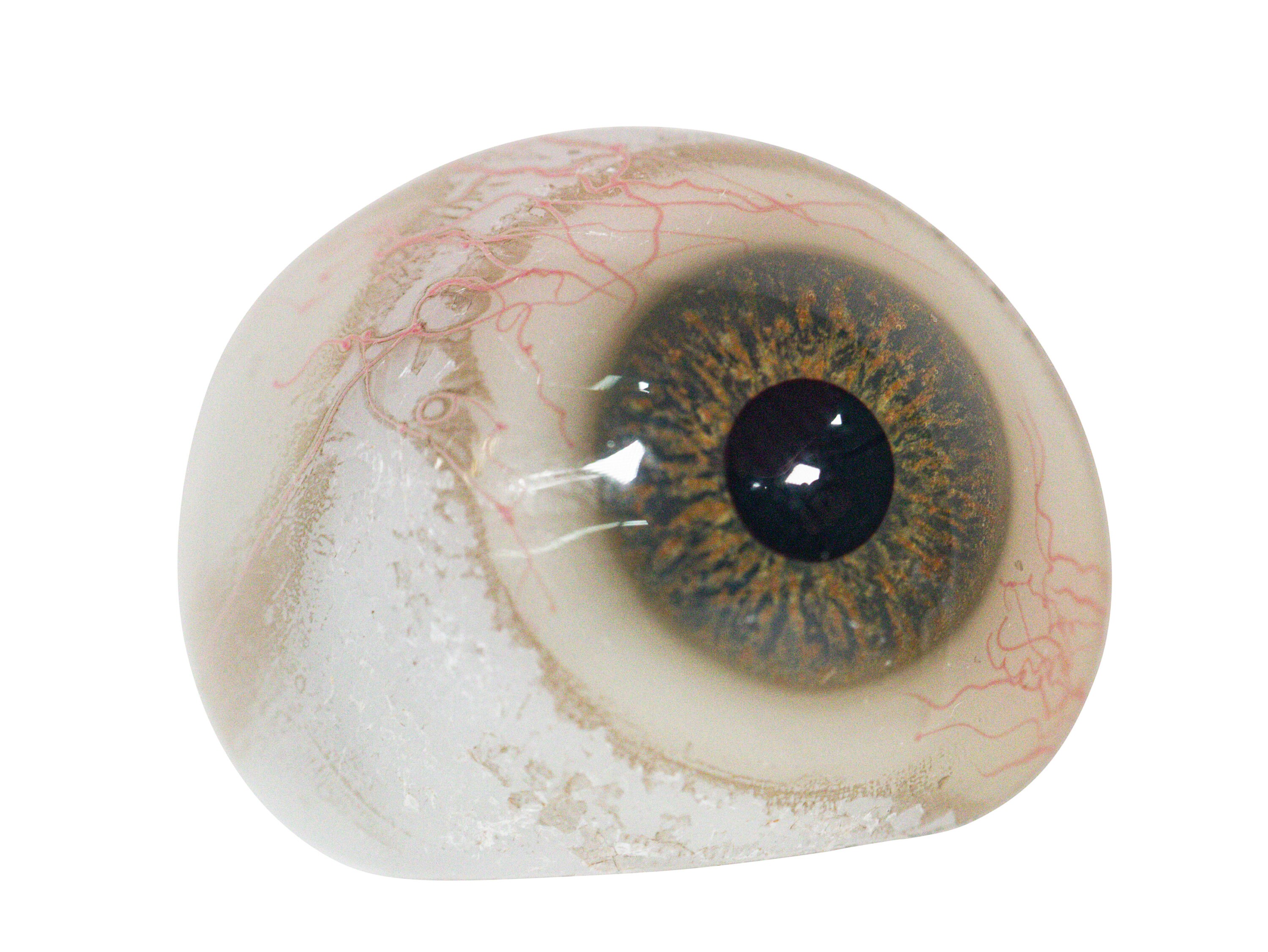 Prosthetic Glass Eyes