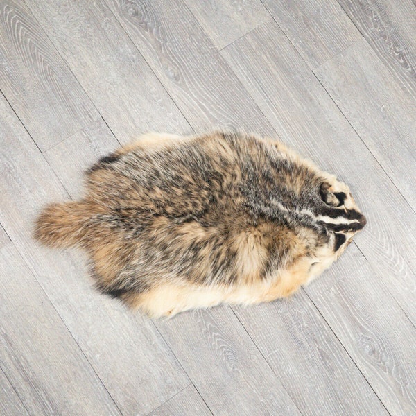 Badger Skin - Etsy