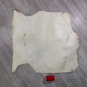 Extra Extra Large Bleached Goat Rawhide Skin: Gallery Item - Etsy