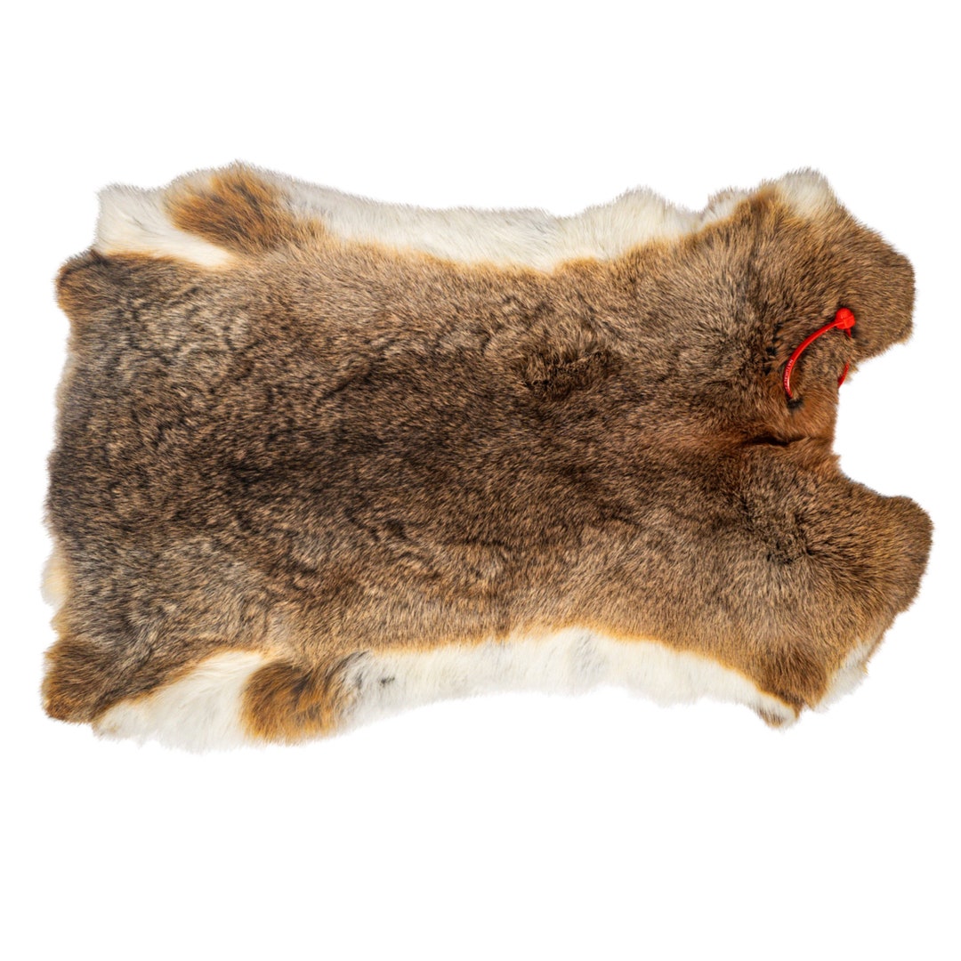 Hungarian Jumbo Rabbit Skin Bunny Brown: First Grade (283-1-HUNBBJ ...