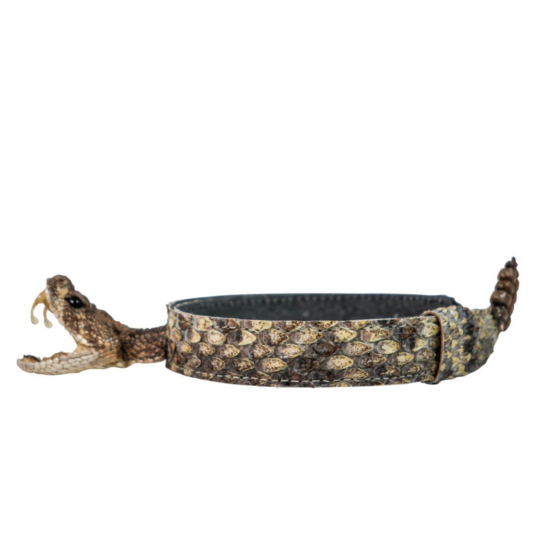 Rattlesnake Hat Band - Etsy