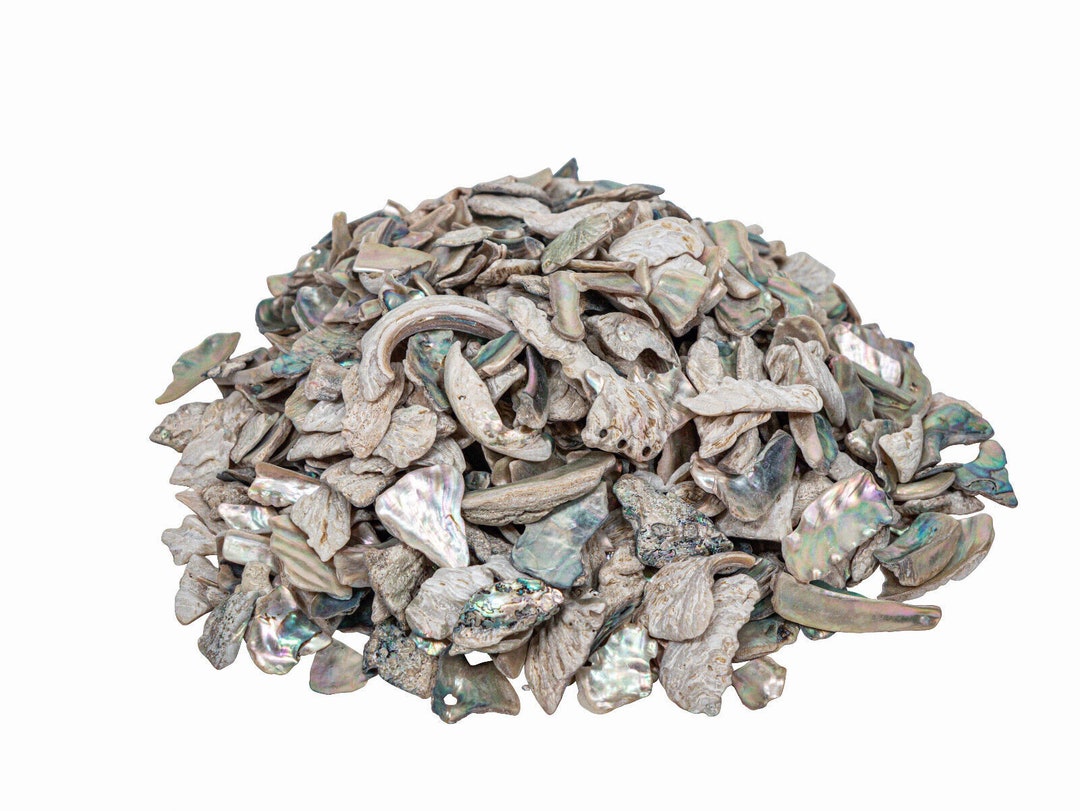 1-kg Bag (2.2 Pounds) of Tumbled Natural African Abalone Pieces: 12mm ...