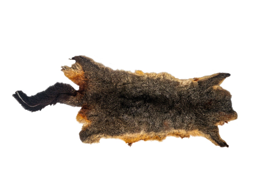 Australian Opossum Skin #1 Quality: Gray (259-30-G6326) Y1K - Etsy