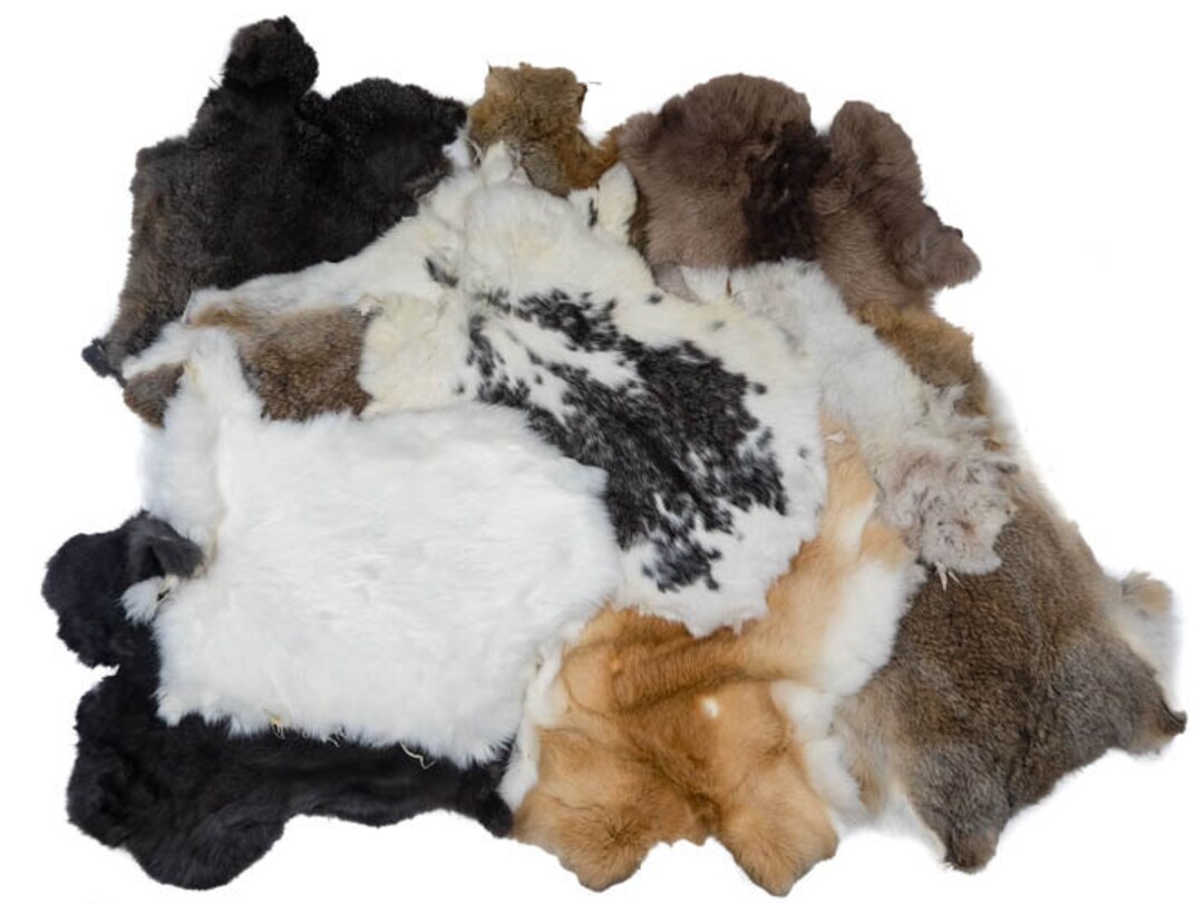 Assorted Rabbit Skins 188-01NAT Y2F - Etsy