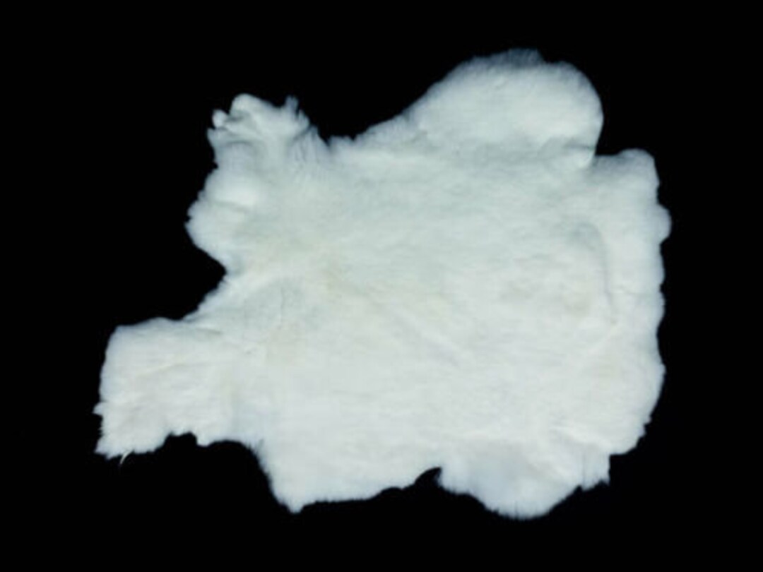 Rex Rabbit #1 White: Size C Pelt Skin Hide (142-11C) Y1J - Etsy