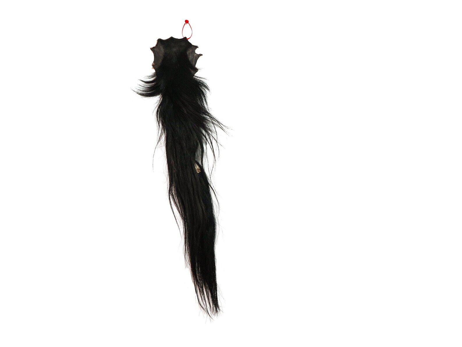 Soft Tanned Real Horse Tail 18-06T-G4392 10UBR3 | Etsy