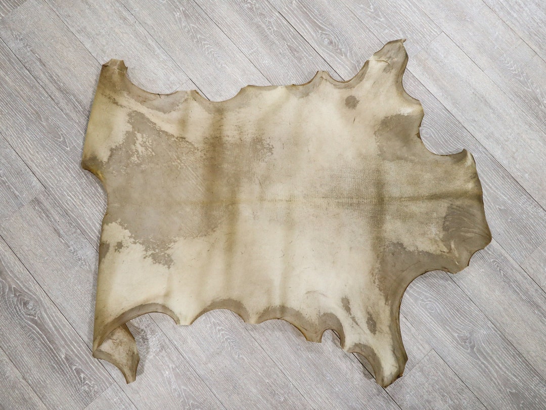 Large Regular Goat Rawhide Skin (55-50L-G4230) Y2J - Etsy