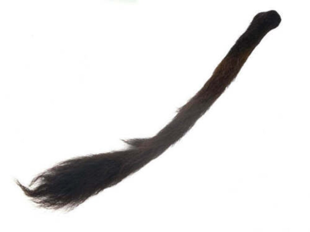 Brown Bovine Calf Tail - Fly Tying (18-30-047) Y1L - Etsy
