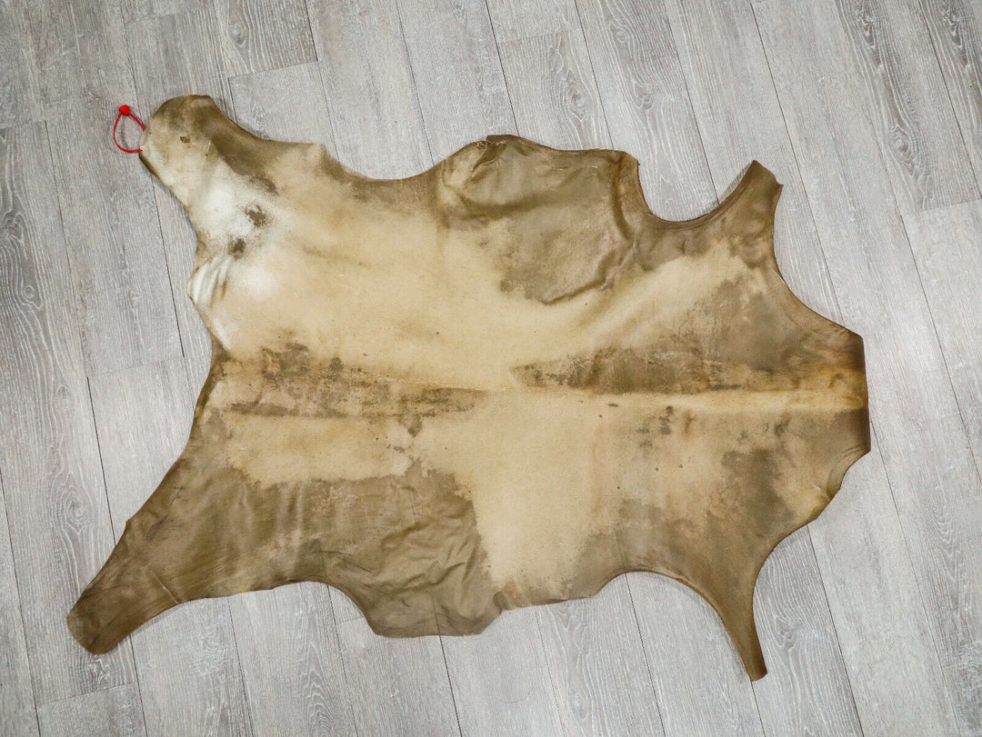 Extra Large Regular Goat Rawhide Skin (55-50XL-G4747) - Etsy