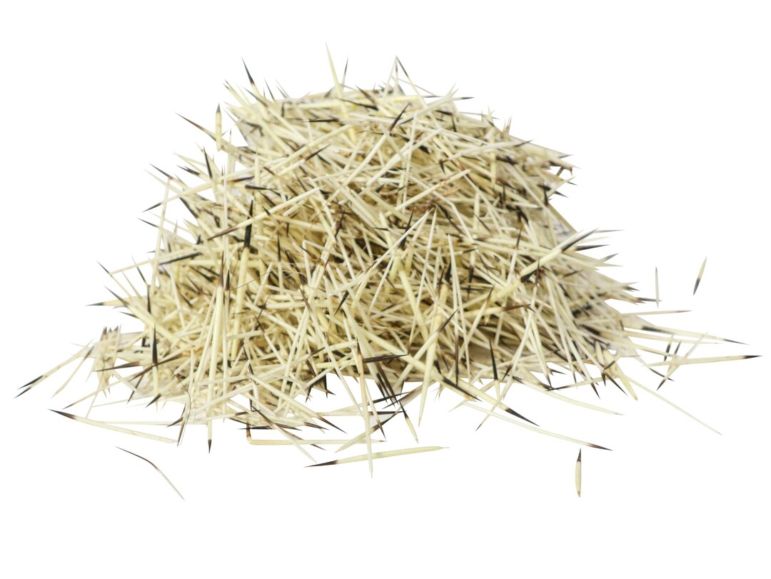 North American Porcupine Quills: 1-oz. Bag (184-02) - Etsy