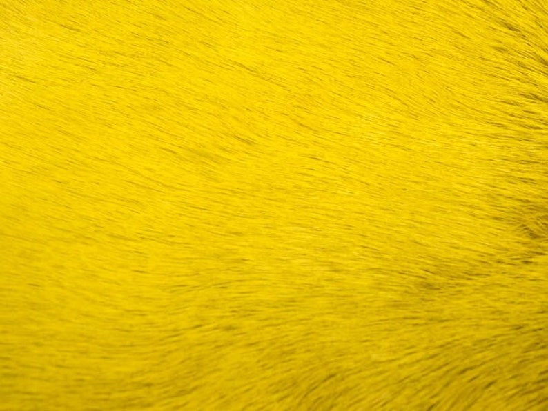 Rabbit Skin Better Grade Dyed Golden Olive Green 134-166 L7 - Etsy