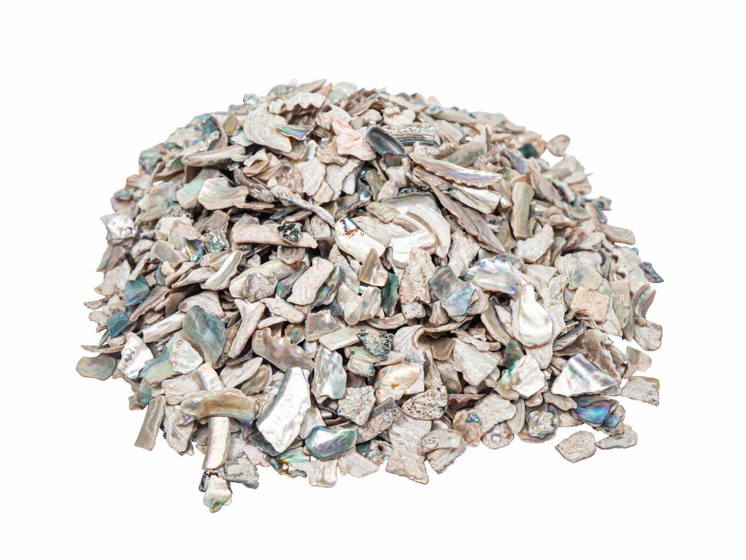1-kg Bag (2.2 Pounds) of Tumbled Natural African Abalone Pieces: 6mm ...