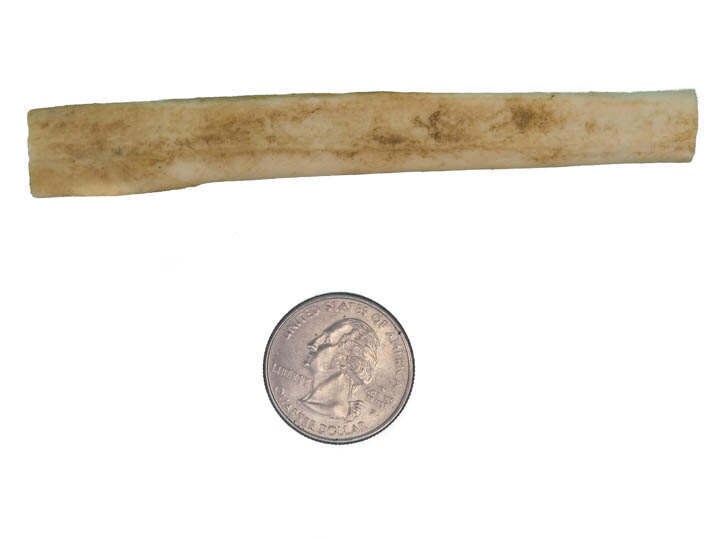 100 one Hundred 4 Coyote Bone Hairpipe Pieces - Etsy