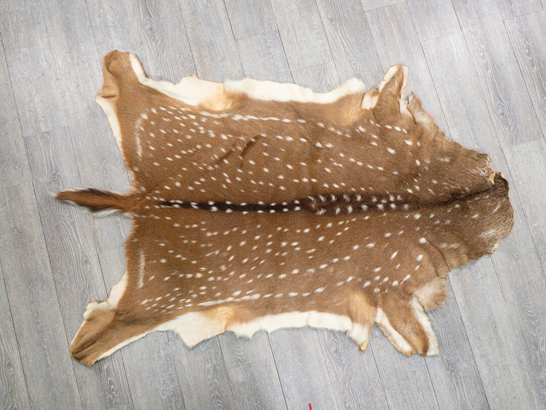 Axis Deer Hide Upholstery Grade: Extra Large (488-UPXL-G6211) Y1H - Etsy
