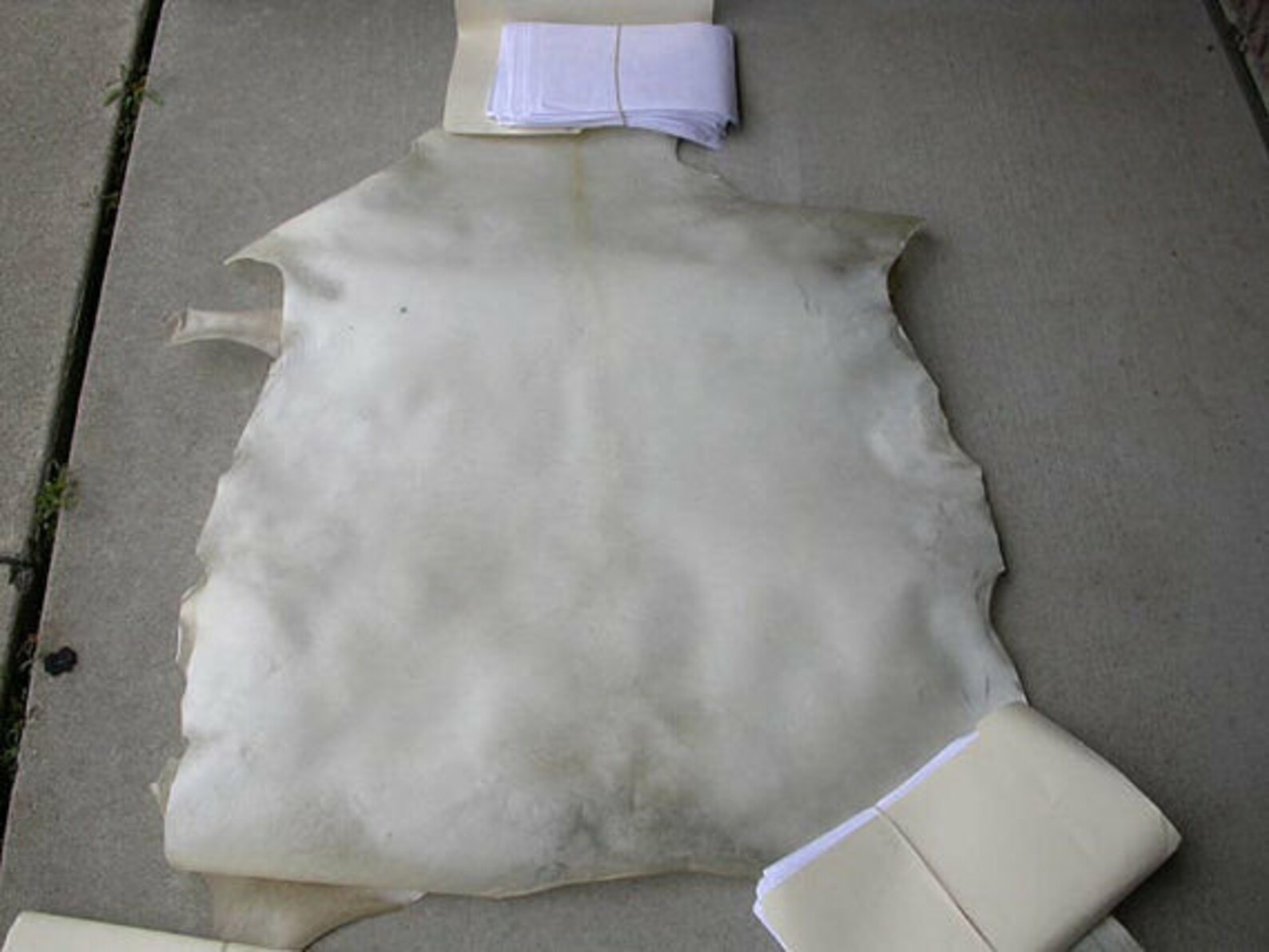 Extra-large Bleached Goat Rawhide Skin 55-50XB-AS L8 | Etsy