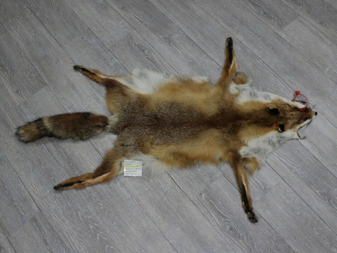 Real Red Fox Skin With Feet 180-03-WF-G4020 L1 - Etsy