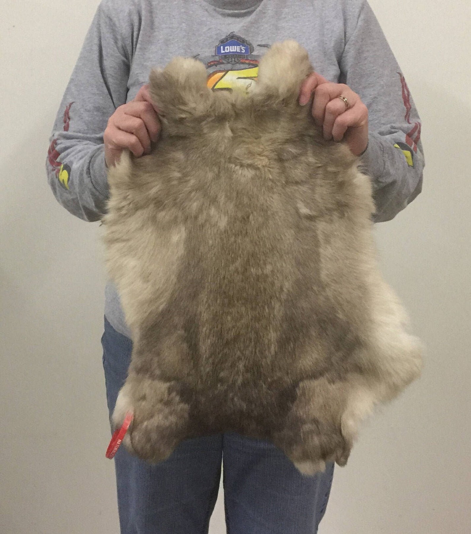 Rabbit Pelt Czech Large: Natural Multi Color 140-HVN-A-G1786 - Etsy