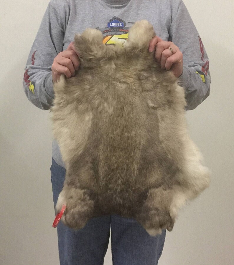 Rabbit Pelt Czech Large: Natural Multi Color 140-HVN-A-G1786 - Etsy