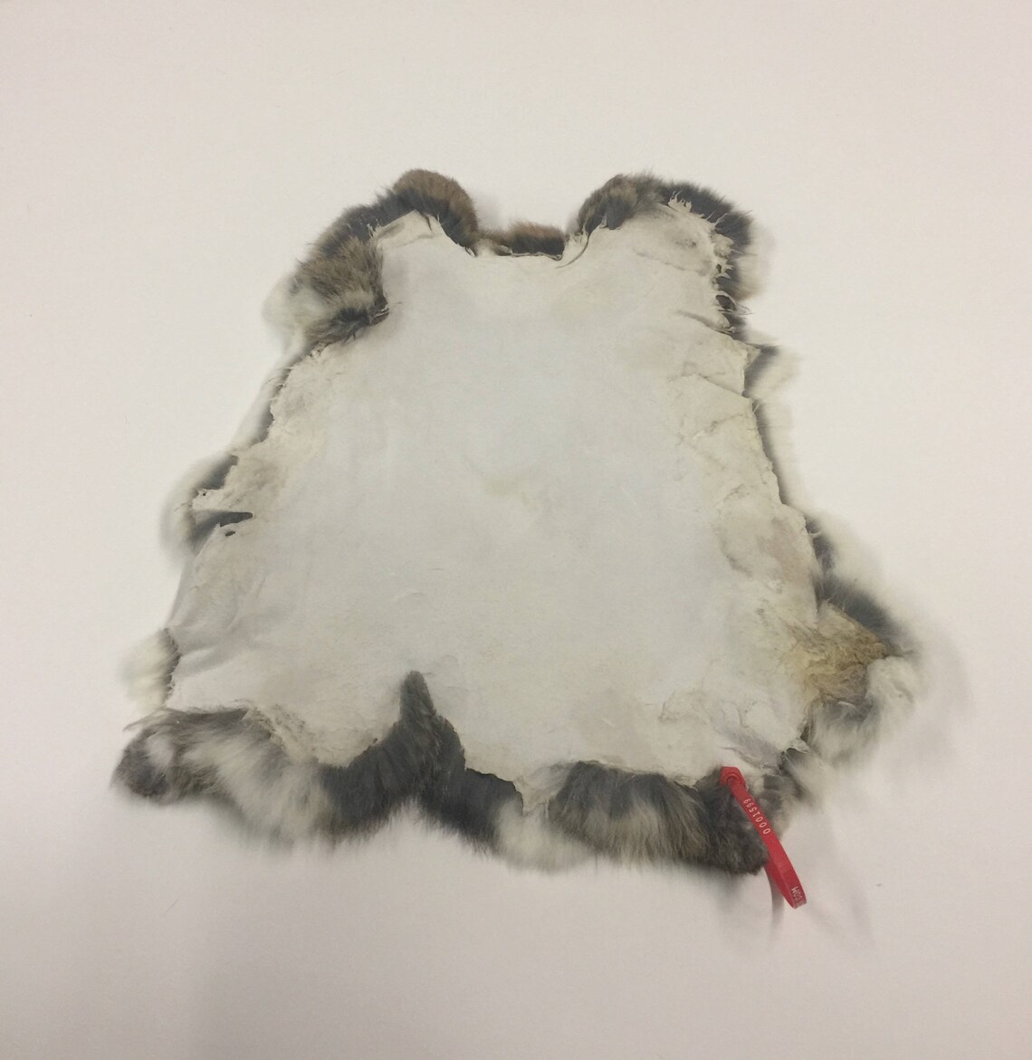 Rabbit Pelt Czech Large: Natural Bunny Brown Color - Etsy