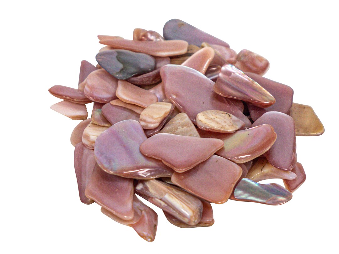 One 1 150-gram Bag of Pink Mussel Shell Pieces 272-150 - Etsy