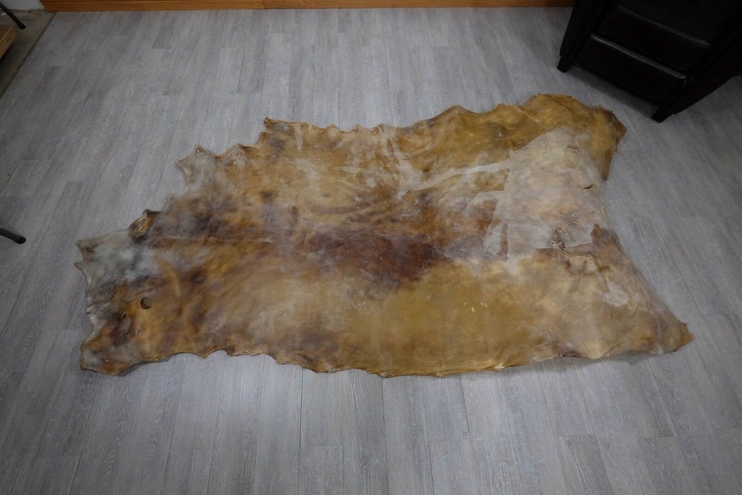 Thick Bovine Cow Rawhide: Full - Natural (55-20-FULL10-G2423) Y2J - Etsy