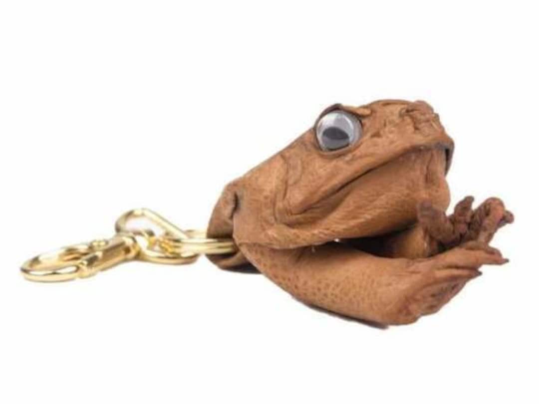 Cane Toad With Hands Keychain (42-34) Y2I - Etsy