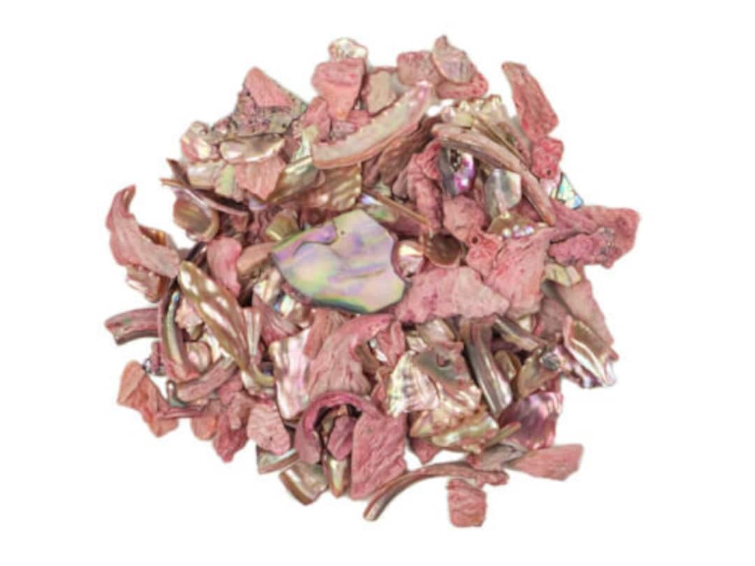 Red Dyed African Abalone Pieces: Assorted Sizes. 1-kg (2.2 Pounds) Bag ...