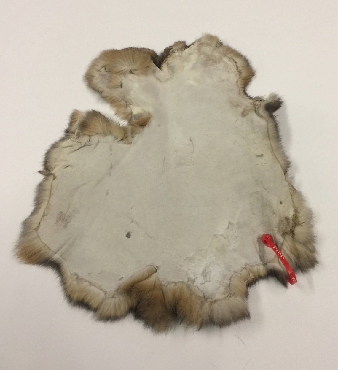 Rabbit Pelt Czech Large: Natural Multi Color 140-HVN-A-G1816 - Etsy