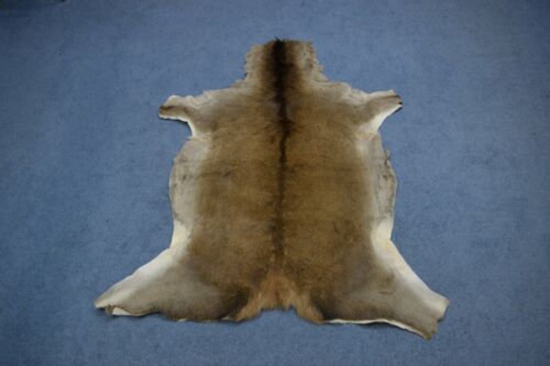 Red Deer Skin Extra Large (684-XL-G02) 10UF - Etsy