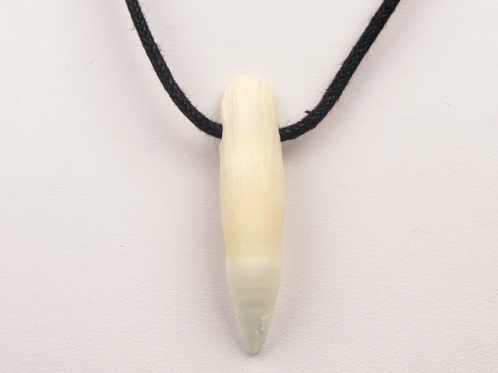 Real Alligator Tooth Necklace 381-30-3 C4E | Etsy
