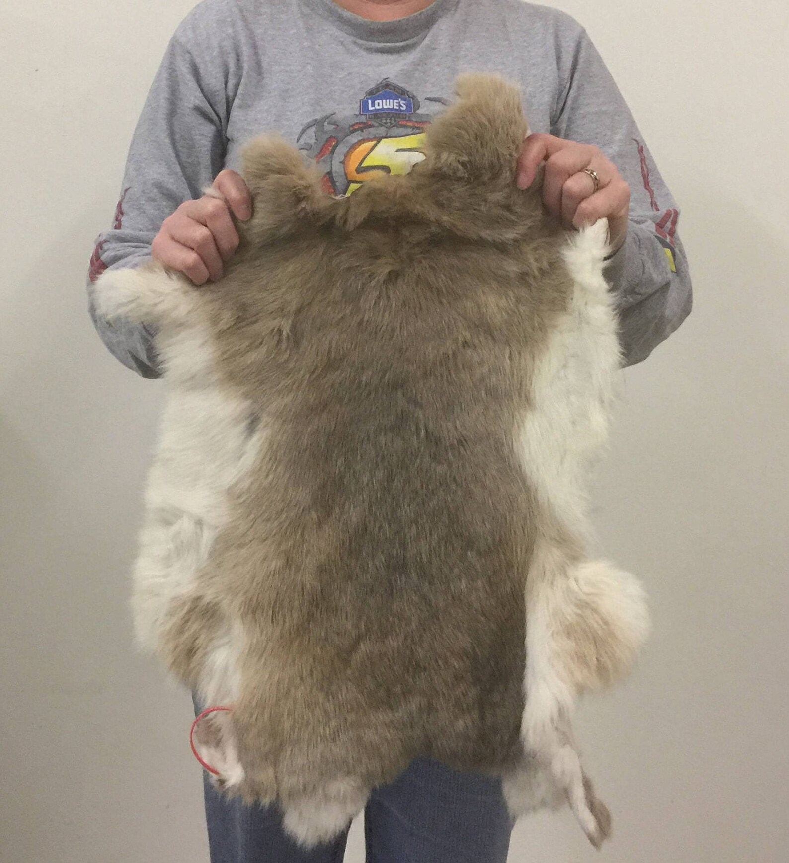 Rabbit Pelt Czech Large: Natural Bunny Brown Color - Etsy