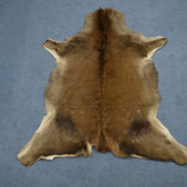 Deer Skin - Etsy