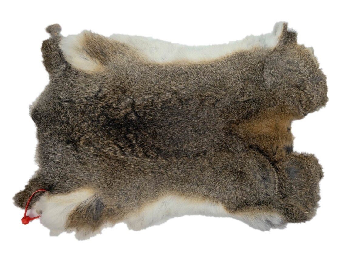 Hungarian Jumbo Rabbit Skin Bunny Brown First Grade - Etsy