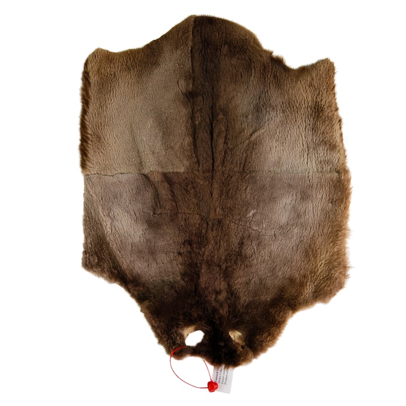 Beaver Pelt - Etsy