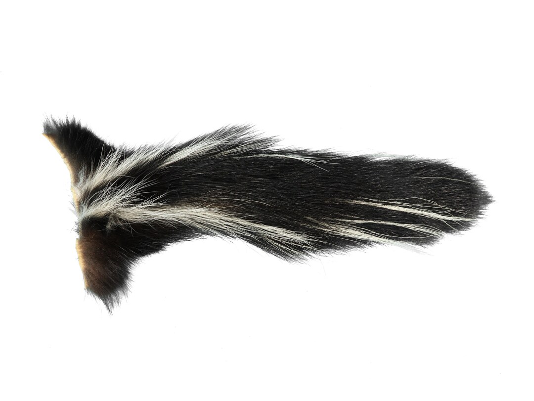Real Tanned Skunk Tail 18-SK-G4248 9UL2 - Etsy