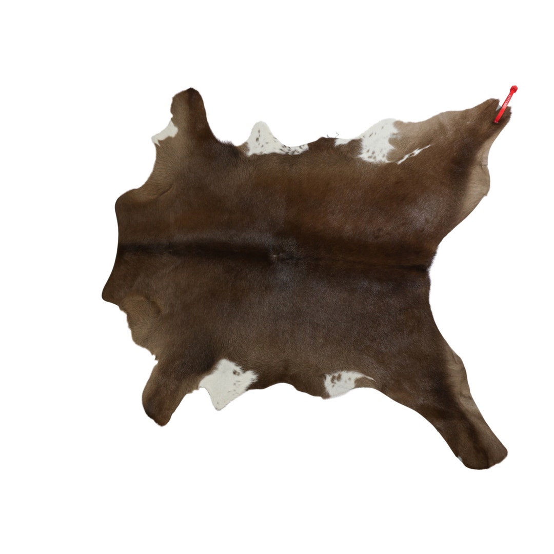 Chrome Tanned Bovine Calf Skin (62-00-G4059) Y2F - Etsy