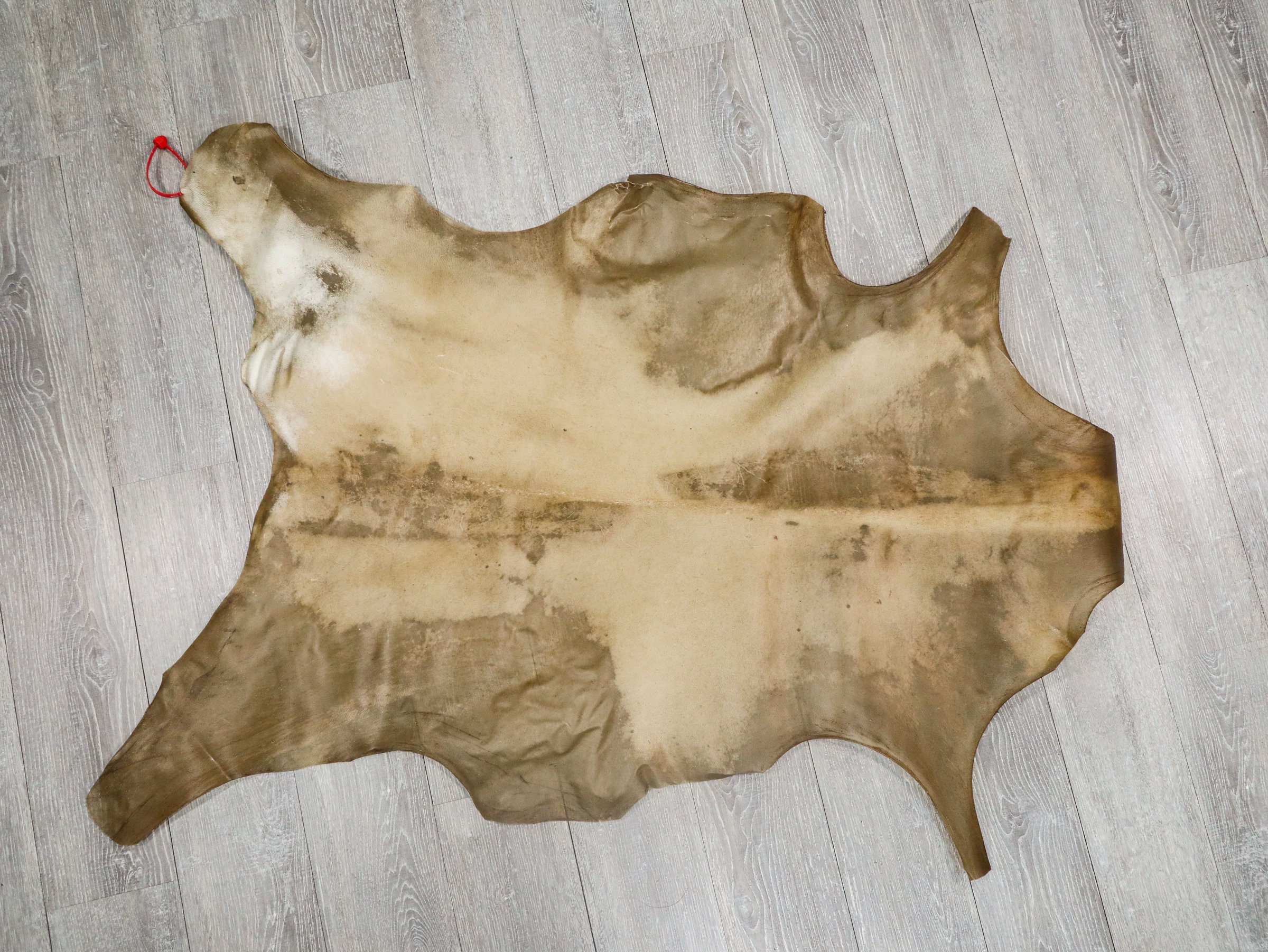 Extra Large Regular Goat Rawhide Skin 55-50XL-AS 8UK14 - Etsy