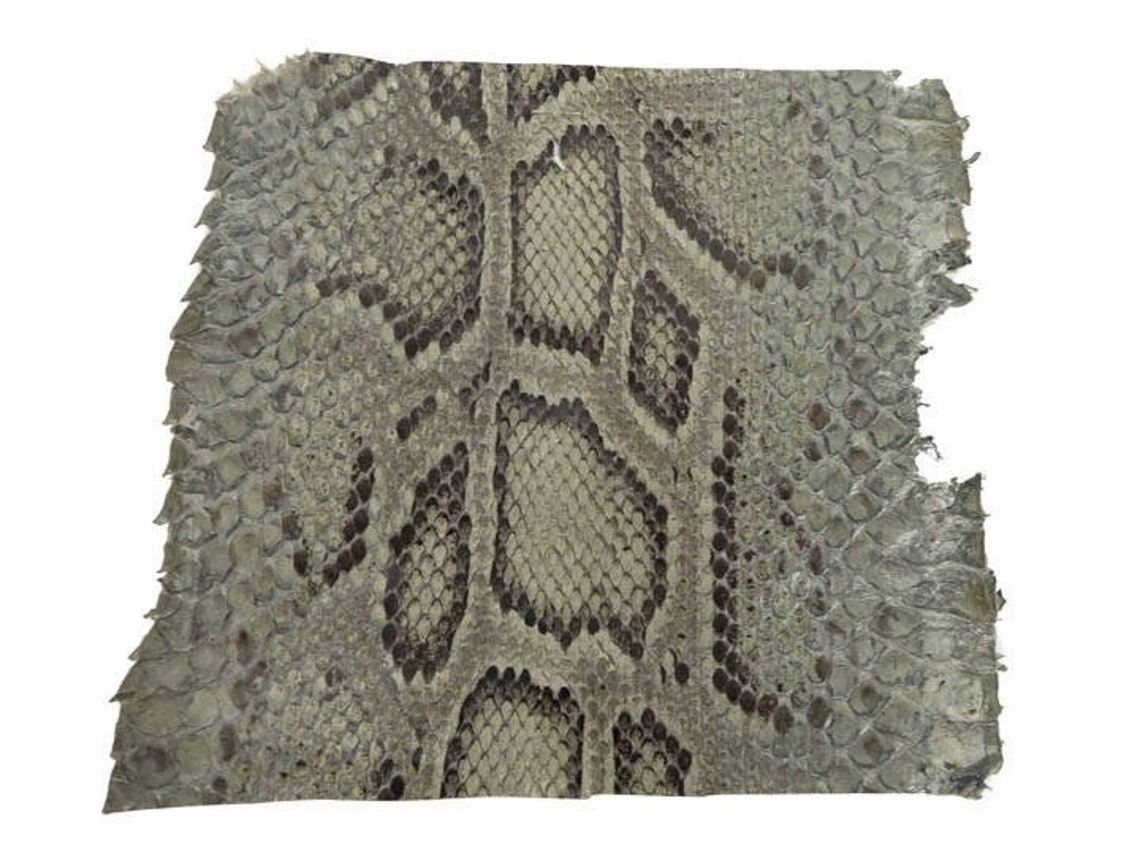 Burmese Python Skin Project Piece 6 597-10-G01A 9U10 - Etsy