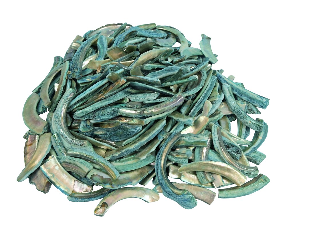 100 Grams of Small Dyed Turquoise African Abalone Shell Lips / Edges ...