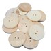 Clam Shell Button 1" in Various Lot Sizes (491-1.0) Y2H - Etsy