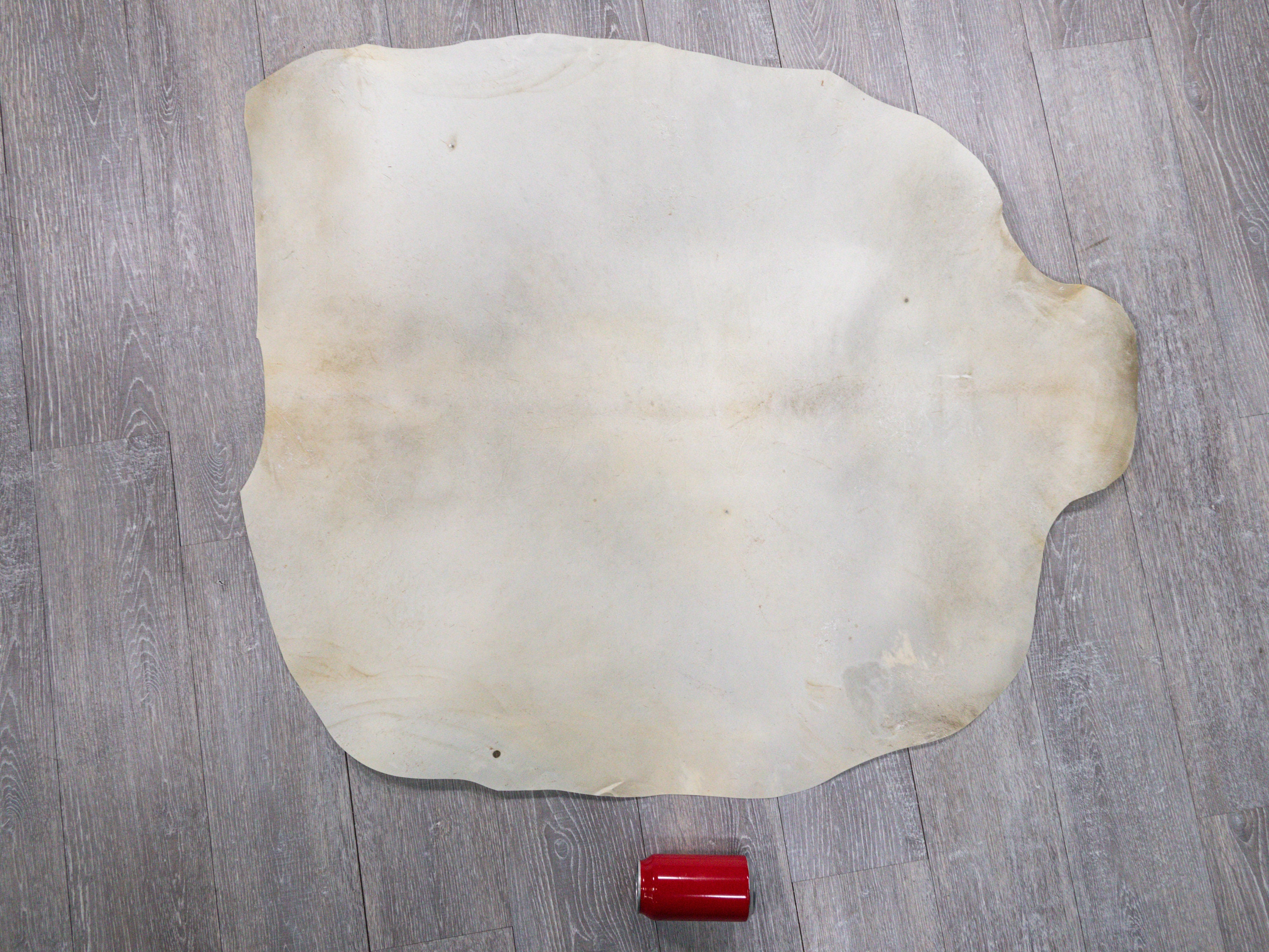 Extra-large Bleached Goat Rawhide Skin (55-50XB-AS) - Etsy