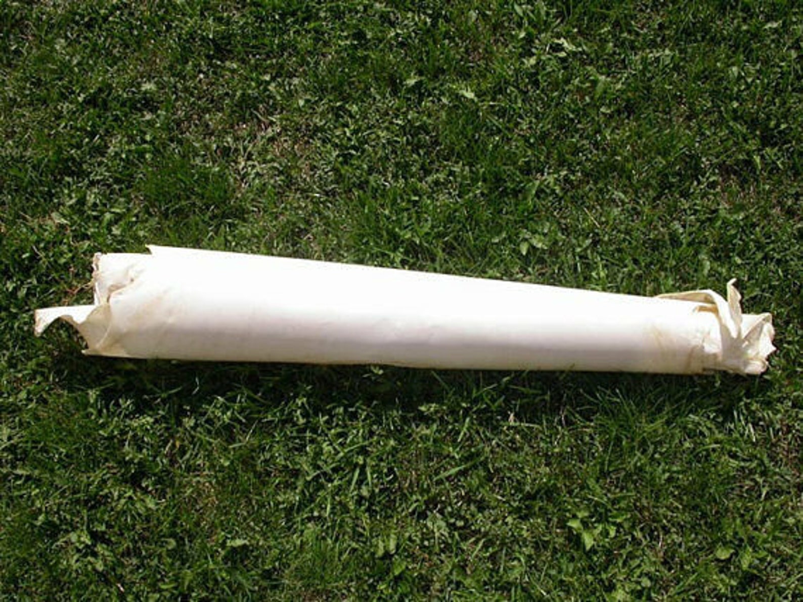 Extra-large Bleached Goat Rawhide Skin 55-50XB-AS L8 | Etsy