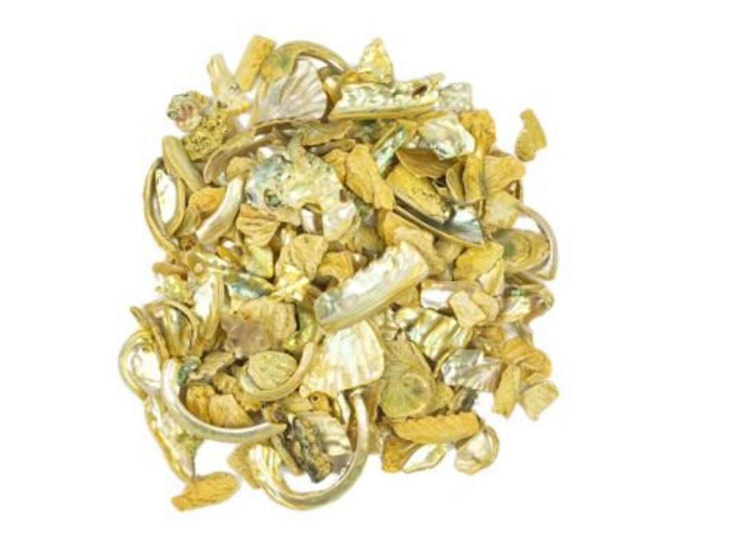 Yellow Dyed African Abalone Pieces: Assorted Sizes. 1-kg (2.2 Pounds ...