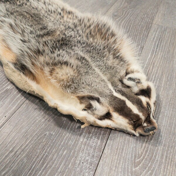 Badger Skin - Etsy