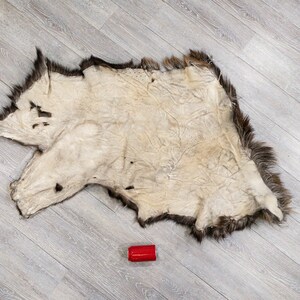 Moose Hide Quarter (575-QTR-G4964) 9UL23 - Etsy