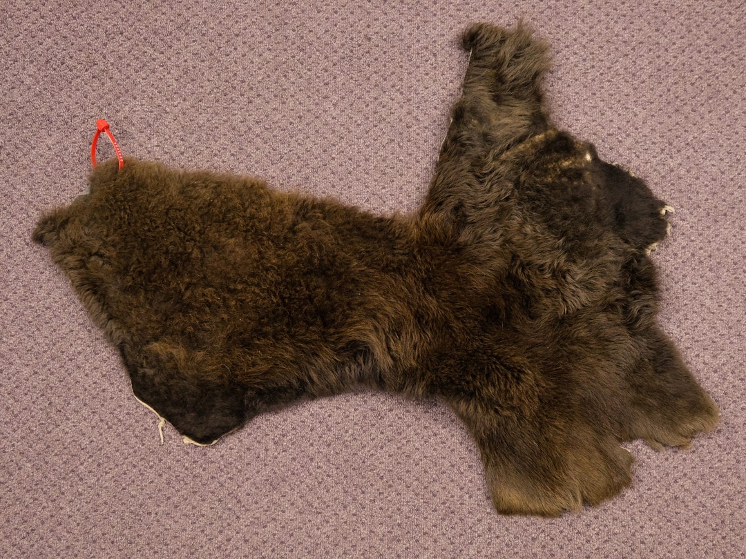 Buffalo Hide Robe Project Piece 35"x10" (149-CR-GP1084) Y1G - Etsy