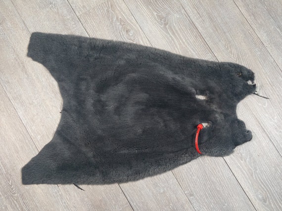 Dyed Sheared Nutria Coypu River Rat Skin 31-G4659 9UZ - Etsy