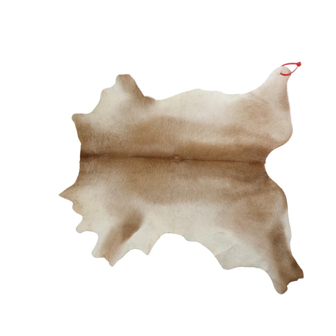 Chrome Tanned Bovine Calf Skin (62-00-G4058) Y2F - Etsy