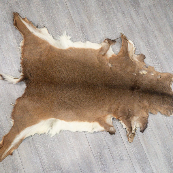 Deer Hide - Etsy