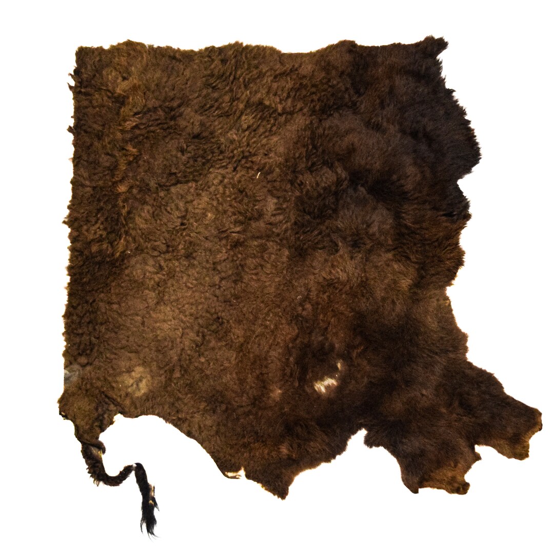 Buffalo Hide Craft Grade Project Piece 44"x30" (149-CR-GP17D) Y2D - Etsy